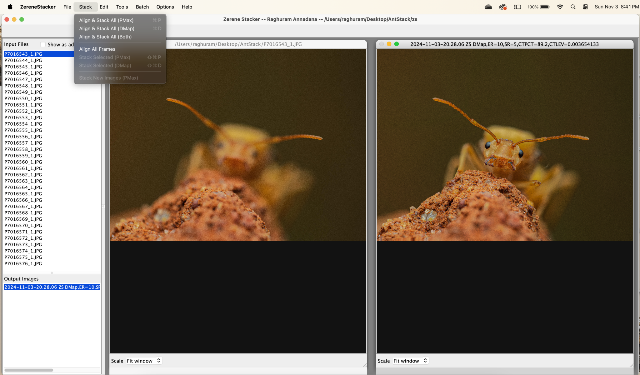 Zerene Stacker: A Guide to PMAX and DMAP | Wildlife Macro